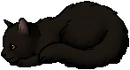 Larchkit (MV) | Warriors Wiki | Fandom