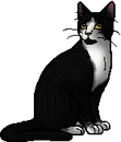 Nightstar (RC) | Warriors Wiki | Fandom
