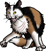 Snapper | Warriors Wiki | Fandom