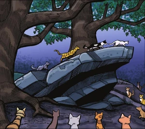 Fourtrees | Warriors Wiki | Fandom