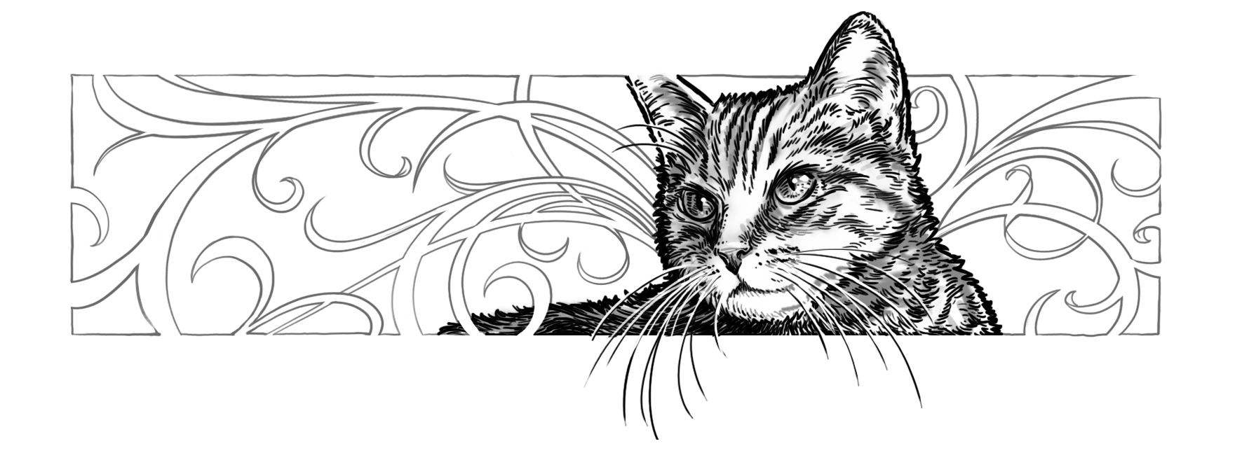 The Place of No Stars (book)/Prologue | Warriors Wiki | Fandom