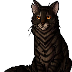 shadowclan cats list
