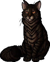 ShadowClan | Warriors Wiki | Fandom
