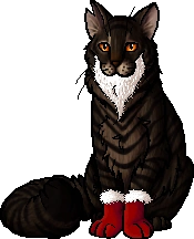 ShadowClan | Warriors Wiki | Fandom