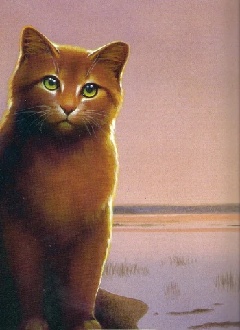 Russetfur | Warriors Wiki | Fandom