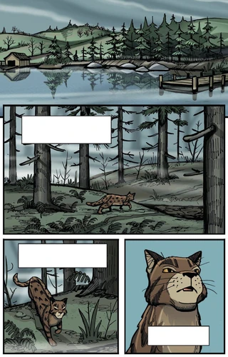 ShadowClan | Warriors Wiki | Fandom