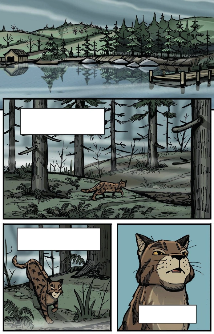 ShadowClan | Warriors Wiki | Fandom