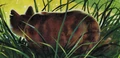 Tigerstar (TPB) | Warriors Wiki | Fandom