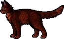 Russetfur | Warriors Wiki | Fandom