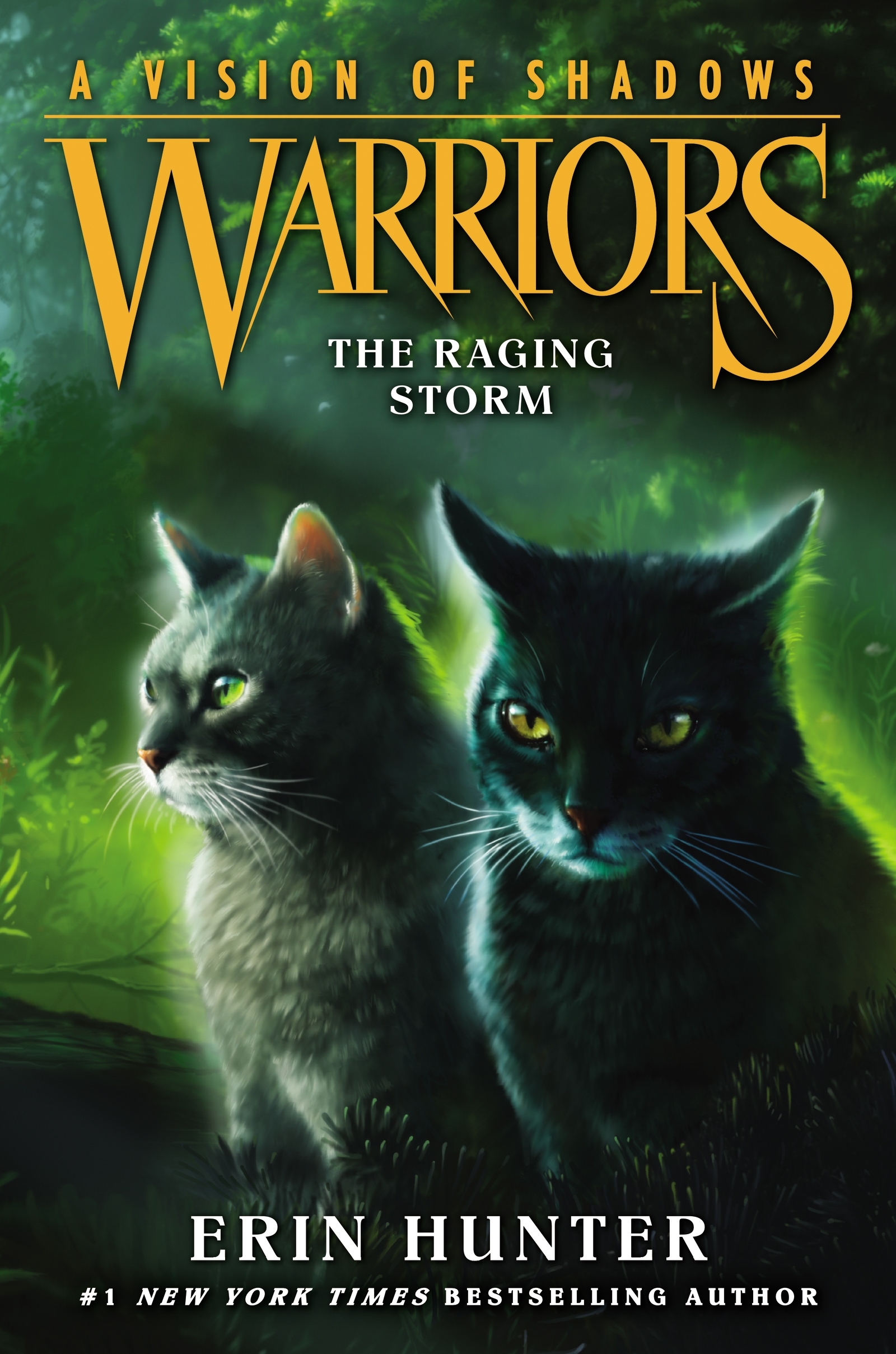 Storm Warriors