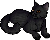 Violet Dawn | Warriors Wiki | Fandom