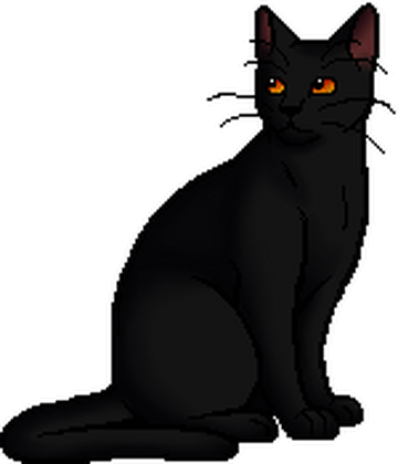 Nightcloud And Leafpool