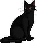 Nightcloud | Warriors Wiki | Fandom