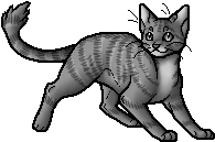 Warriors Wiki talk:Charart/Accepted 358 | Warriors Wiki | Fandom