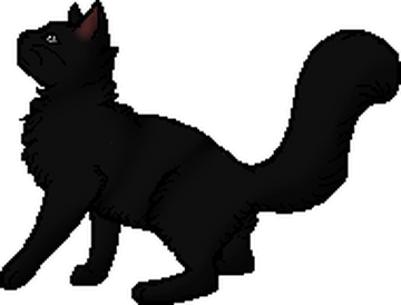 Warrior Cats Reedwhisker