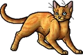 Thornclaw | Warriors Wiki | Fandom