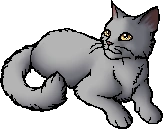 Sunfish | Warriors Wiki | Fandom