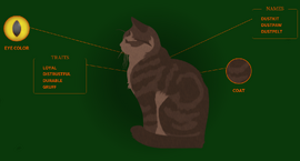 Warrior Cats website | Warriors Wiki | Fandom