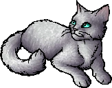 Echomist | Warriors Wiki | Fandom