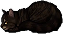 Tigerstar (TPB) | Warriors Wiki | Fandom