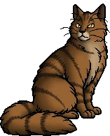 Warriors Wiki:Images/Unused | Warriors Wiki | Fandom