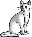 Stonewing | Warriors Wiki | Fandom