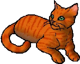 Category:StarClan cats | Warriors Wiki | Fandom