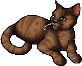 Category:StarClan cats | Warriors Wiki | Fandom