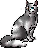 Perchwing | Warriors Wiki | Fandom