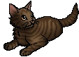 Larchkit (TNP) | Warriors Wiki | Fandom