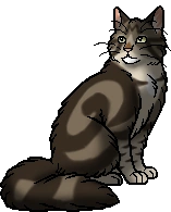 Wafflepelt | Warriors Wiki | Fandom