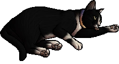 Warriors Wiki talk:Charart/Accepted 340 | Warriors Wiki | Fandom