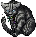 Jayfeather | Warriors Wiki | Fandom