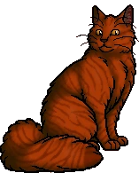 Warrior Cats Poppydawn