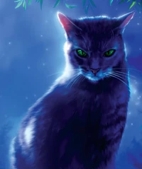 ShadowClan | Warriors Wiki | Fandom