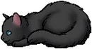 Softpelt | Warriors Wiki | Fandom