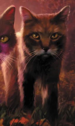 Sunbeam | Warriors Wiki | Fandom