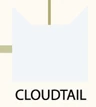 Cloudtail | Warriors Wiki | Fandom