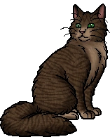 Pouncetail (ShC) | Warriors Wiki | Fandom