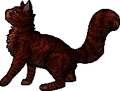 Russetfur | Warriors Wiki | Fandom