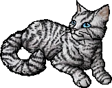 Silverstream | Warriors Wiki | Fandom