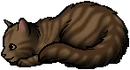 Larchkit (TNP) | Warriors Wiki | Fandom