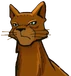 Mousefur | Warriors Wiki | Fandom