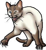 Warriors Wiki talk:Charart/Accepted 371 | Warriors Wiki | Fandom