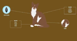 Warrior Cats website | Warriors Wiki | Fandom