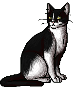 Spireclaw | Warriors Wiki | Fandom