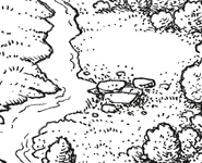 Sunningrocks | Warriors Wiki | Fandom