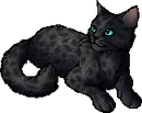 Pikepaw (MO) | Warriors Wiki | Fandom