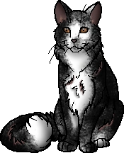 Jay (cat) | Warriors Wiki | Fandom