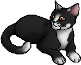 Swiftpaw (TPB) | Warriors Wiki | Fandom